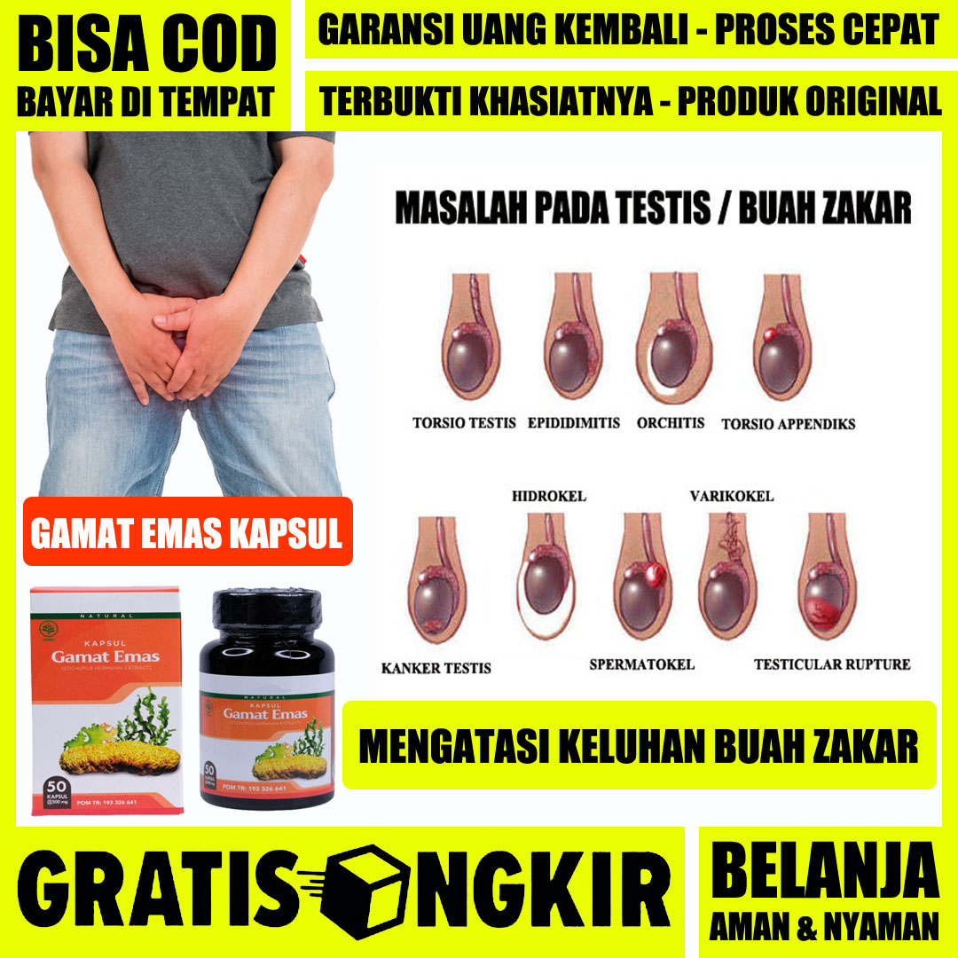 Obat Buah Zakar Bengkak Mr P Bengkak Benjolan Di Buah Zakar Turun Biji ... Obat Buah Zakar Bengkak Mr P Bengkak Benjolan Di Buah Zakar Turun Biji ...