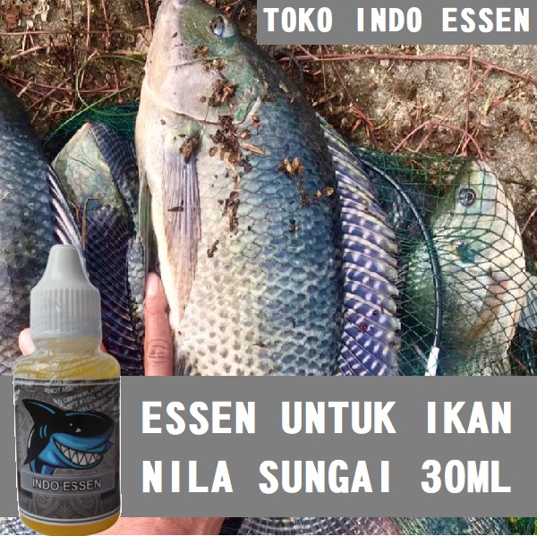 [BISA COD] Essen Untuk Ikan Nila Sungai 30ml | Lazada Indonesia