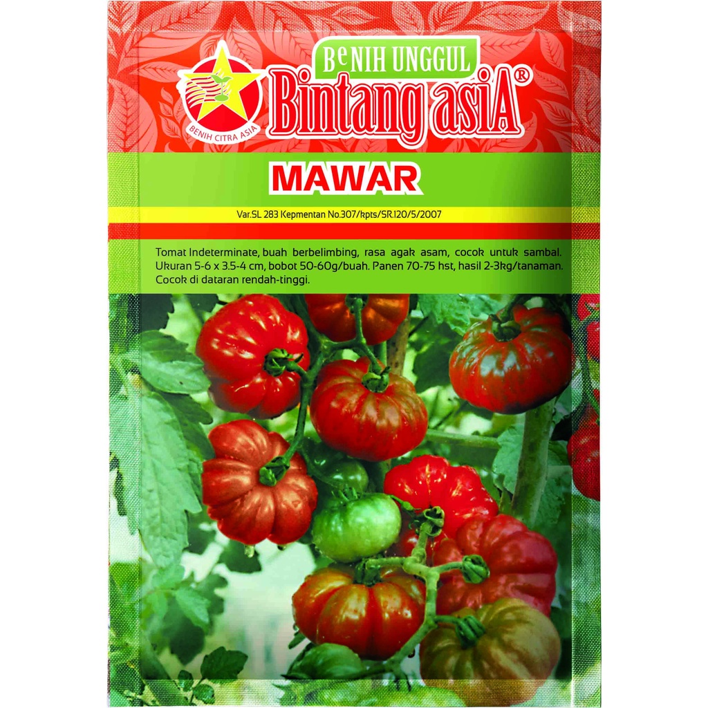 Benih Tomat MAWAR 10 Gram Cap Bintang Asia PT Benih Citra Asia Buah ...