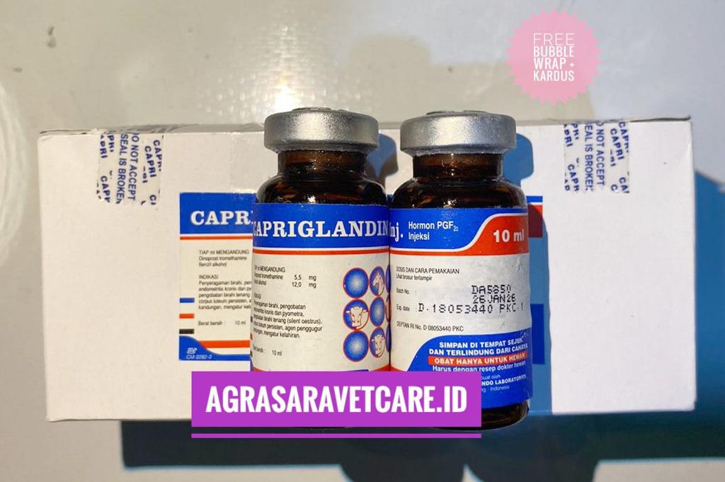 CAPRIGLANDIN INJ 10 ml (PGF) - Hormon Sinkronisasi Estrus Sapi Kambing ...