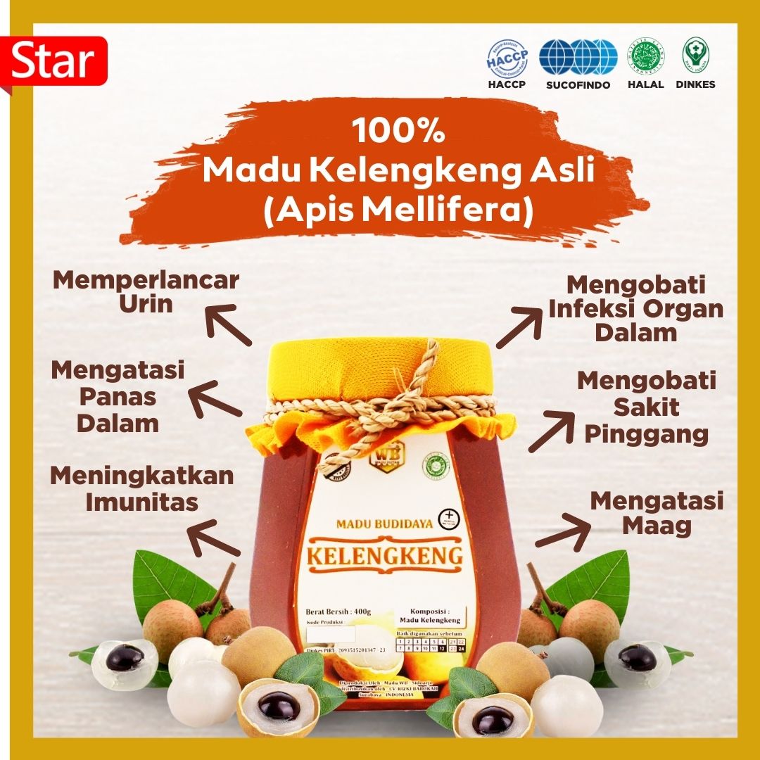 Madu Kelengkeng / Lebah Apis Melifera -Garansi Murni & Asli 100-Wild ...