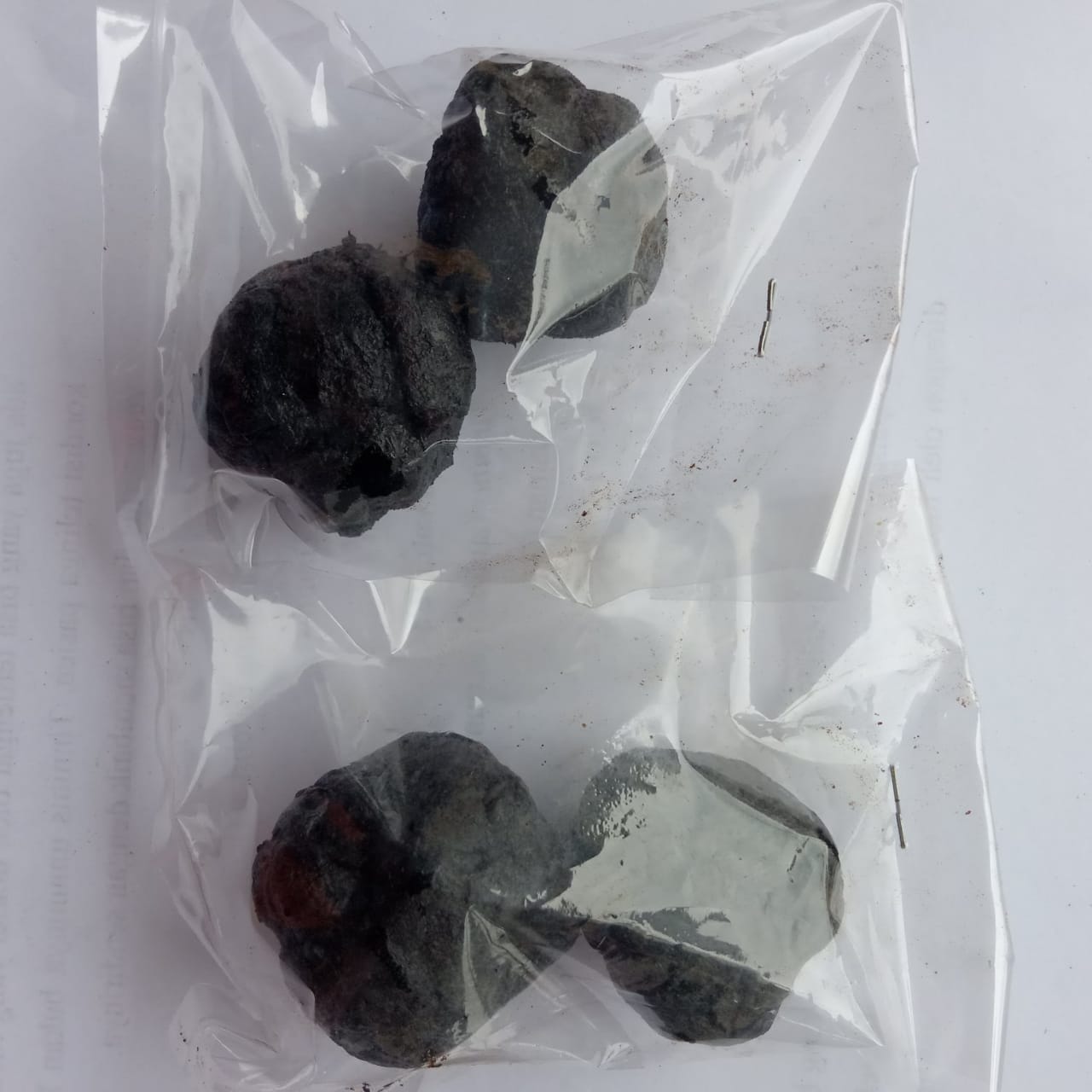 Asam Kawak / Asam Jawa / Paket 2 Bungkus / 1 Bungkus Isi 2 | Lazada ...