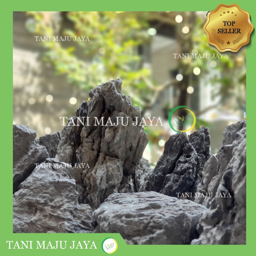Batu Seiryu / Siryu Gray Import Asli Hardscape Aquascape Iwagumi 1KG ...
