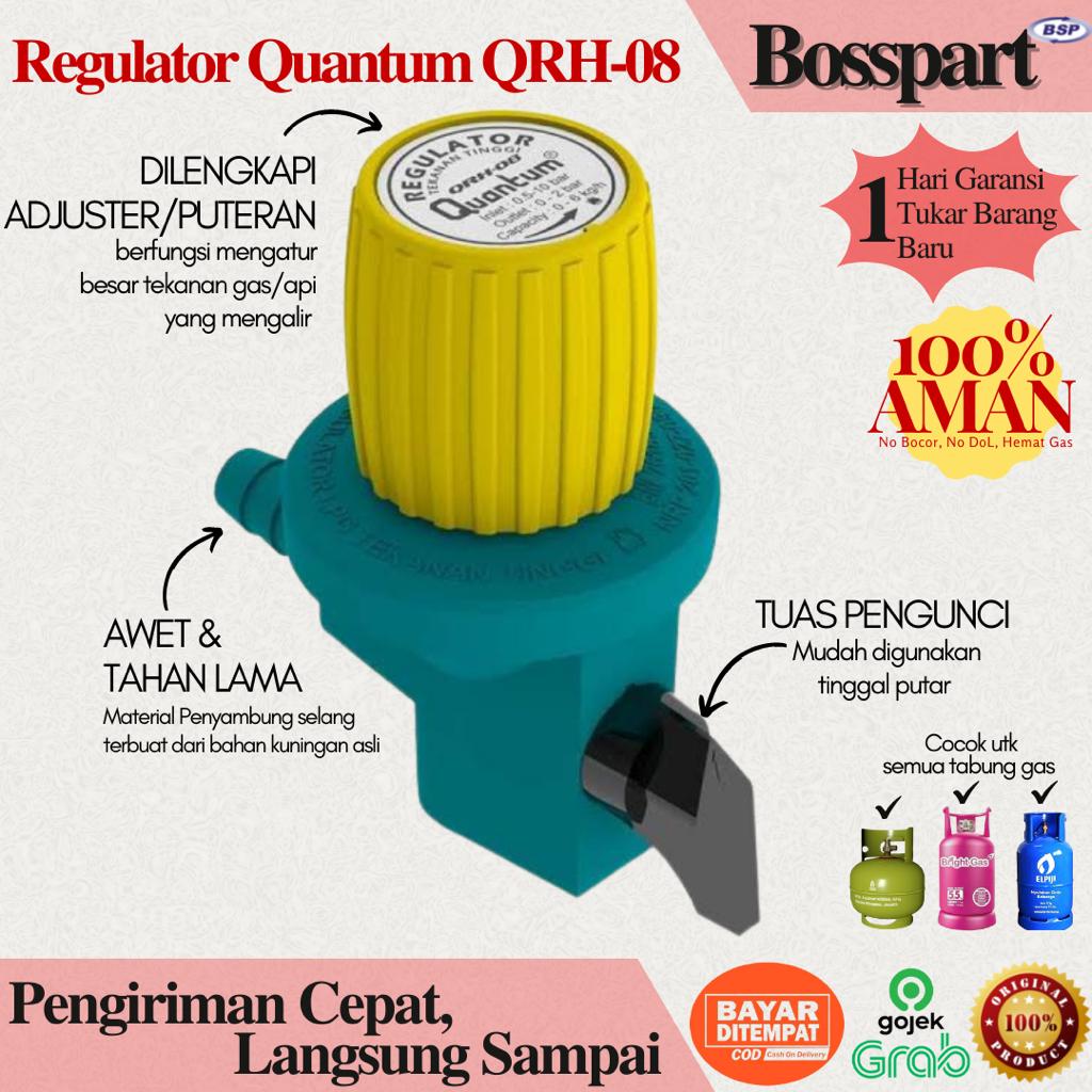 Regulator Gas Tekanan Tinggi Quantum Meter QRH-09 / QRH-08 Regulator ...