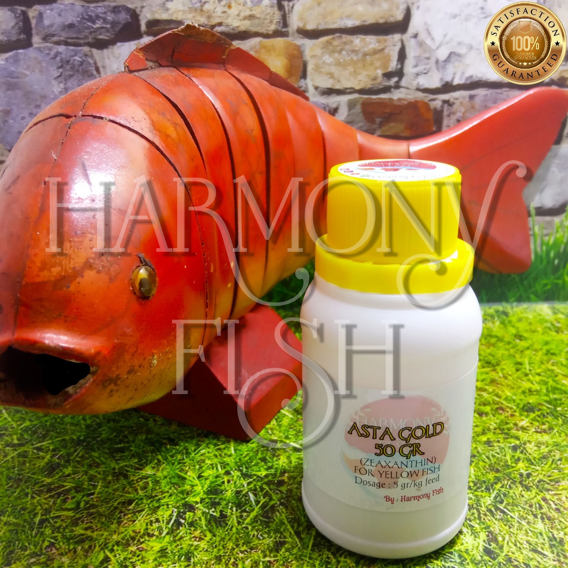ASTA GOLD ZEAXANTHIN 50GR Vitamin Pigmen Kuning Yellow Cichlid Channa ...