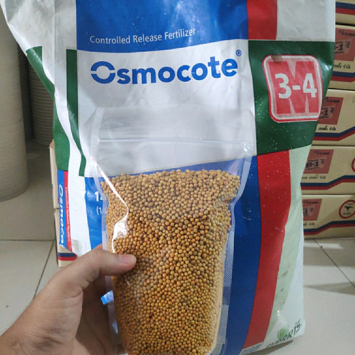 Osmocote 14 14 14 Pupuk Slow Release Repacking 1kg/1000gr | Lazada ...