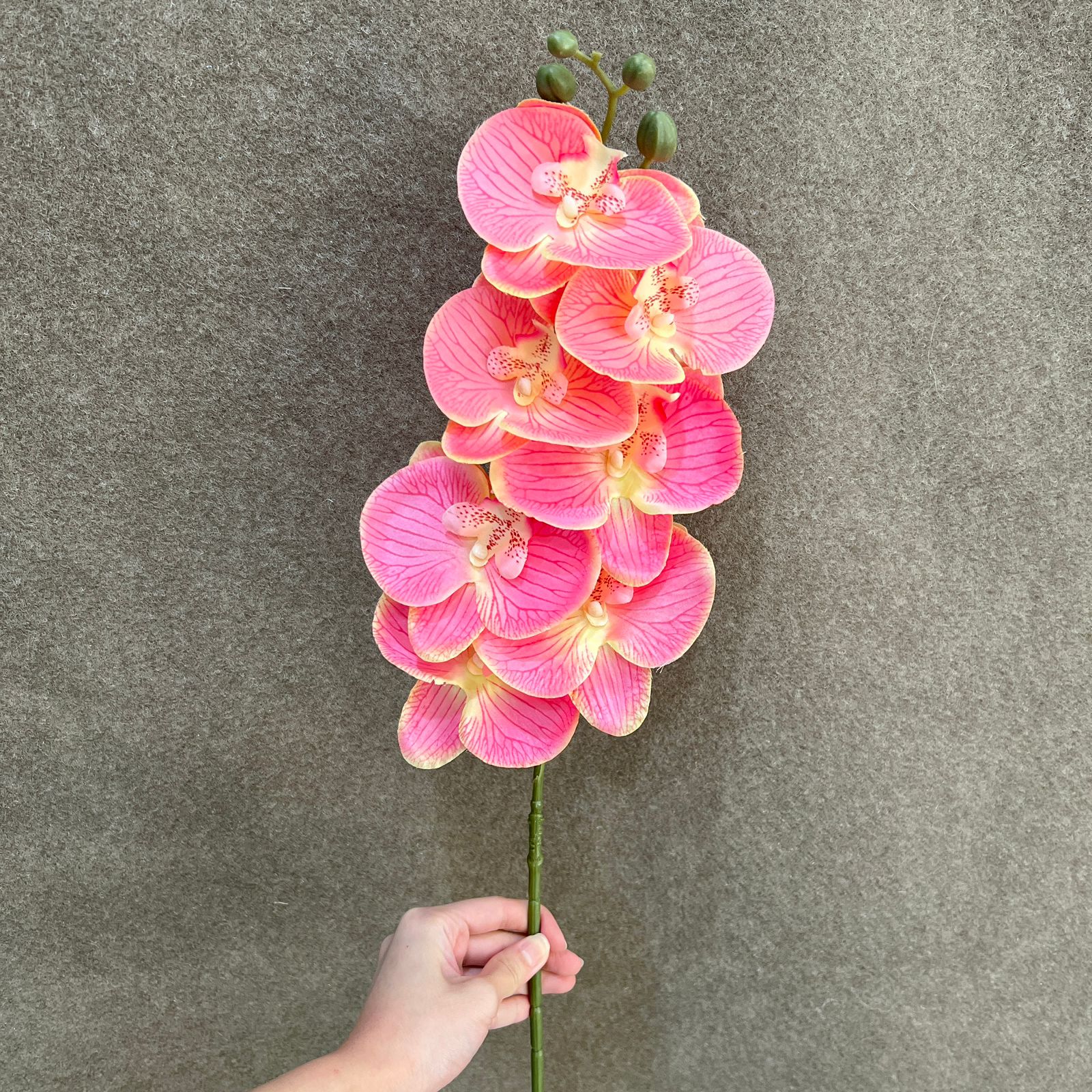 Bunga Anggrek Premium Kain Lukis (Satuan) Bunga Orchid Anggrek Bulan ...