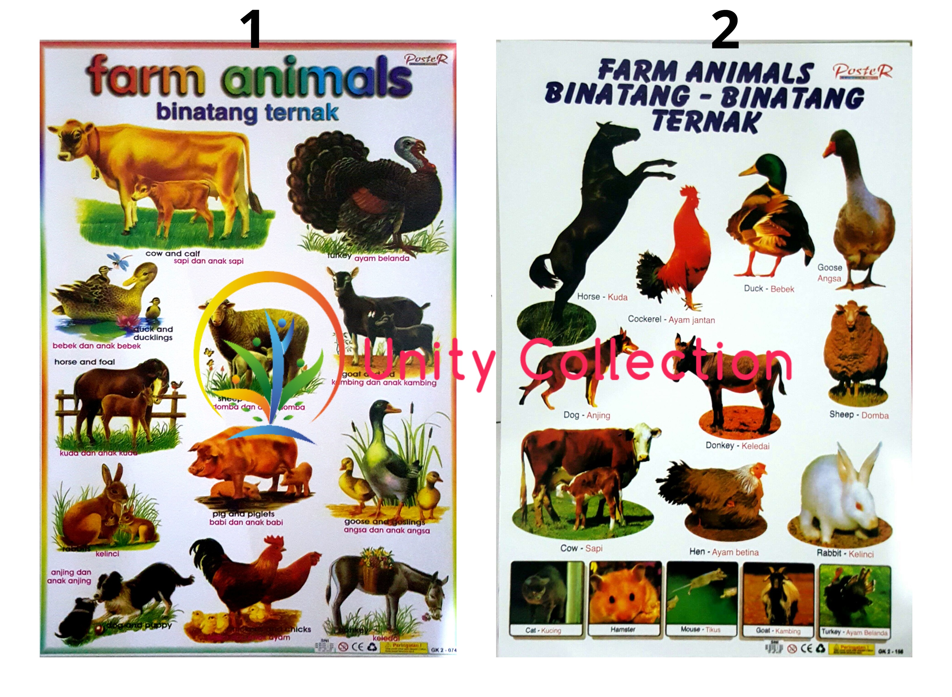 Poster Anak Belajar Aneka Binatang Farm Animal Hewan Ternak | Lazada ...