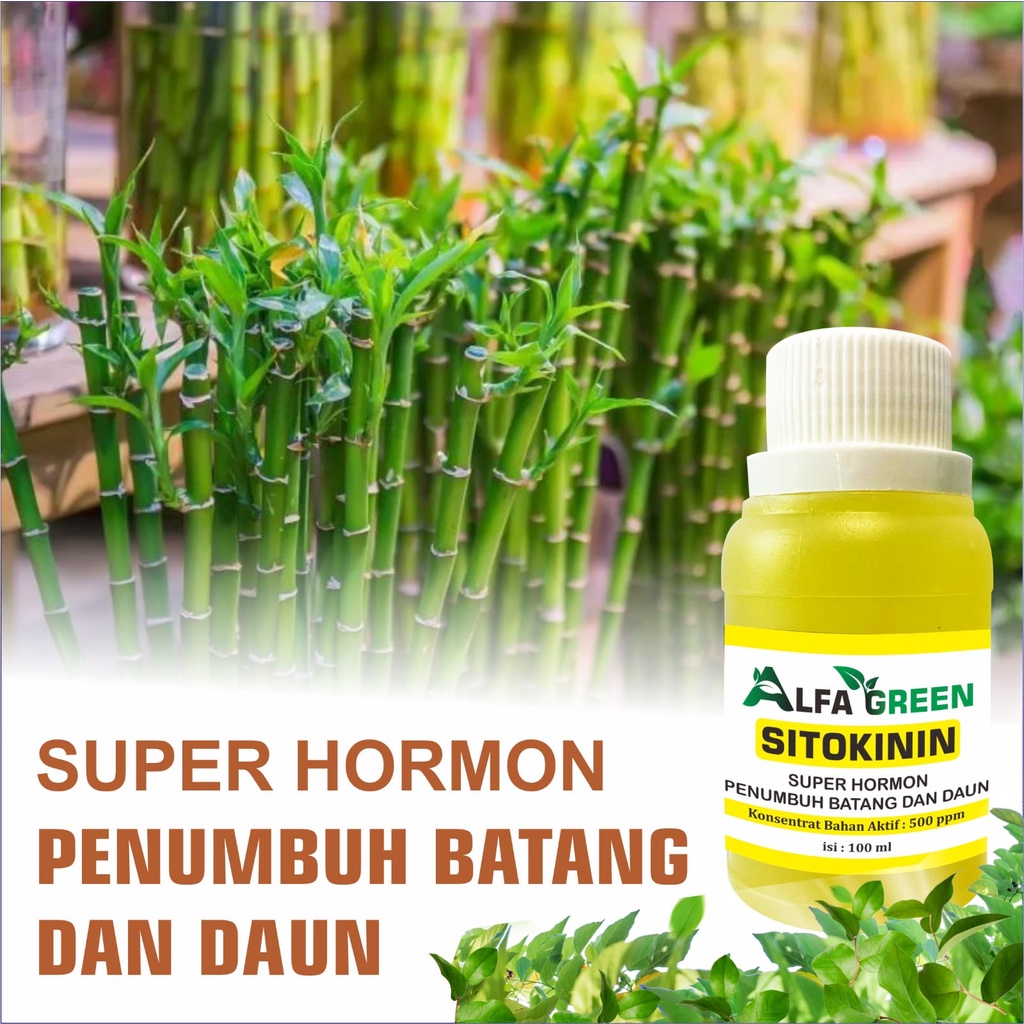 Super Hormon Pupuk Penumbuh dan Pelebat Akar Tanaman | Lazada Indonesia