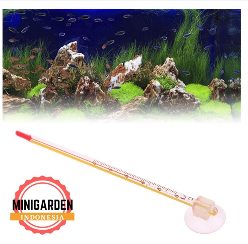 THERMOMETER DIGITAL MODEL KACA TEMPEL termometer aquarium alat ukur ...