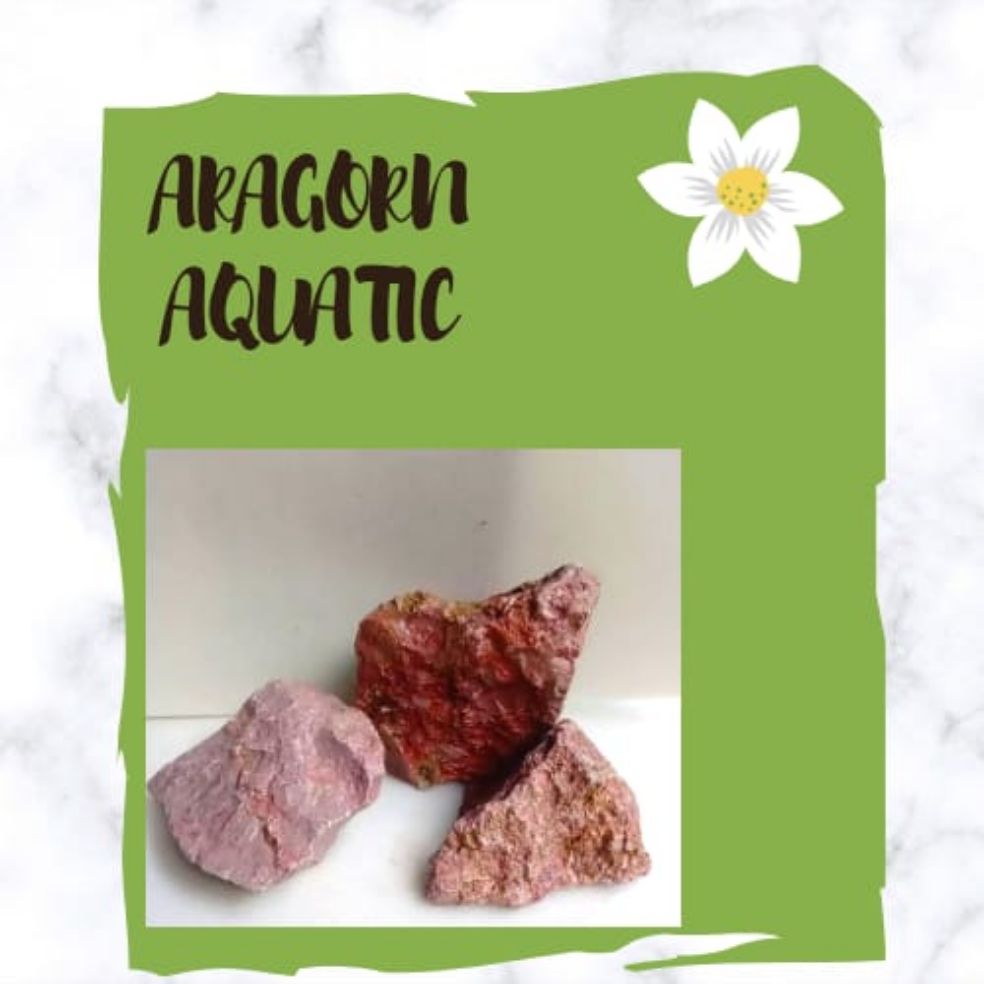 Batu kreket merah aquascape aquarium 1kg | Lazada Indonesia