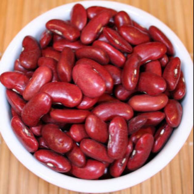 Biji benih tanaman kacang merah 1kg | Lazada Indonesia