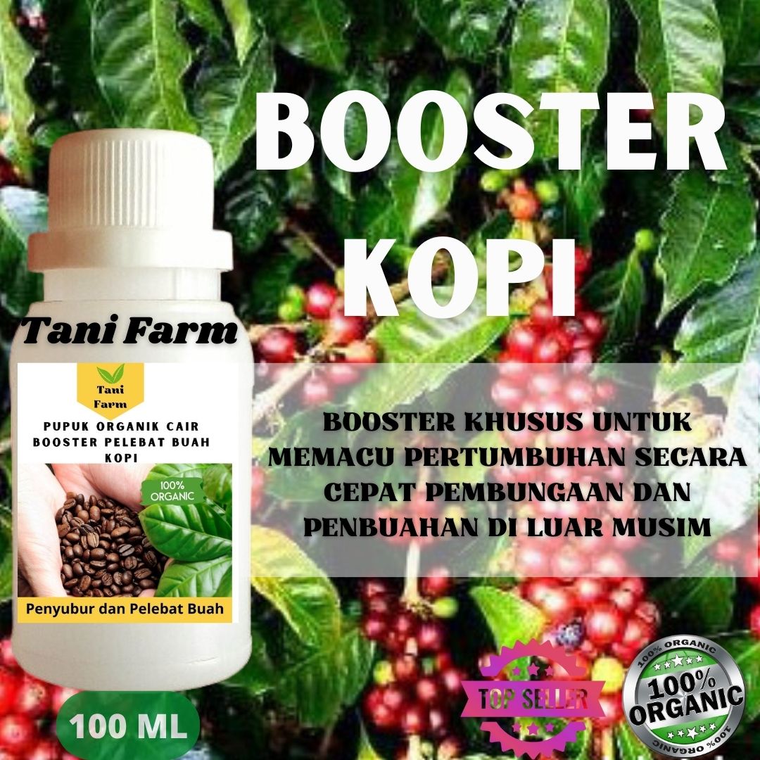 Pupuk Pelebat Kopi Pupuk Booster Pelebat Buah Kopi Obat Pelebat Buah ...