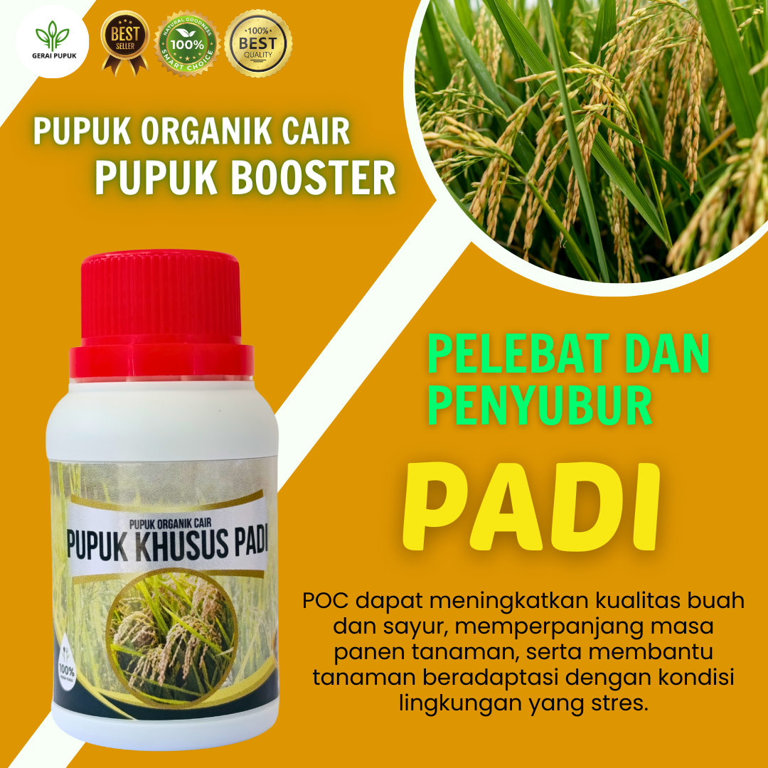 Pupuk Padi Sawah Terbaik, Pupuk Padi Pelebat Buah, Pupuk Organik Cair ...