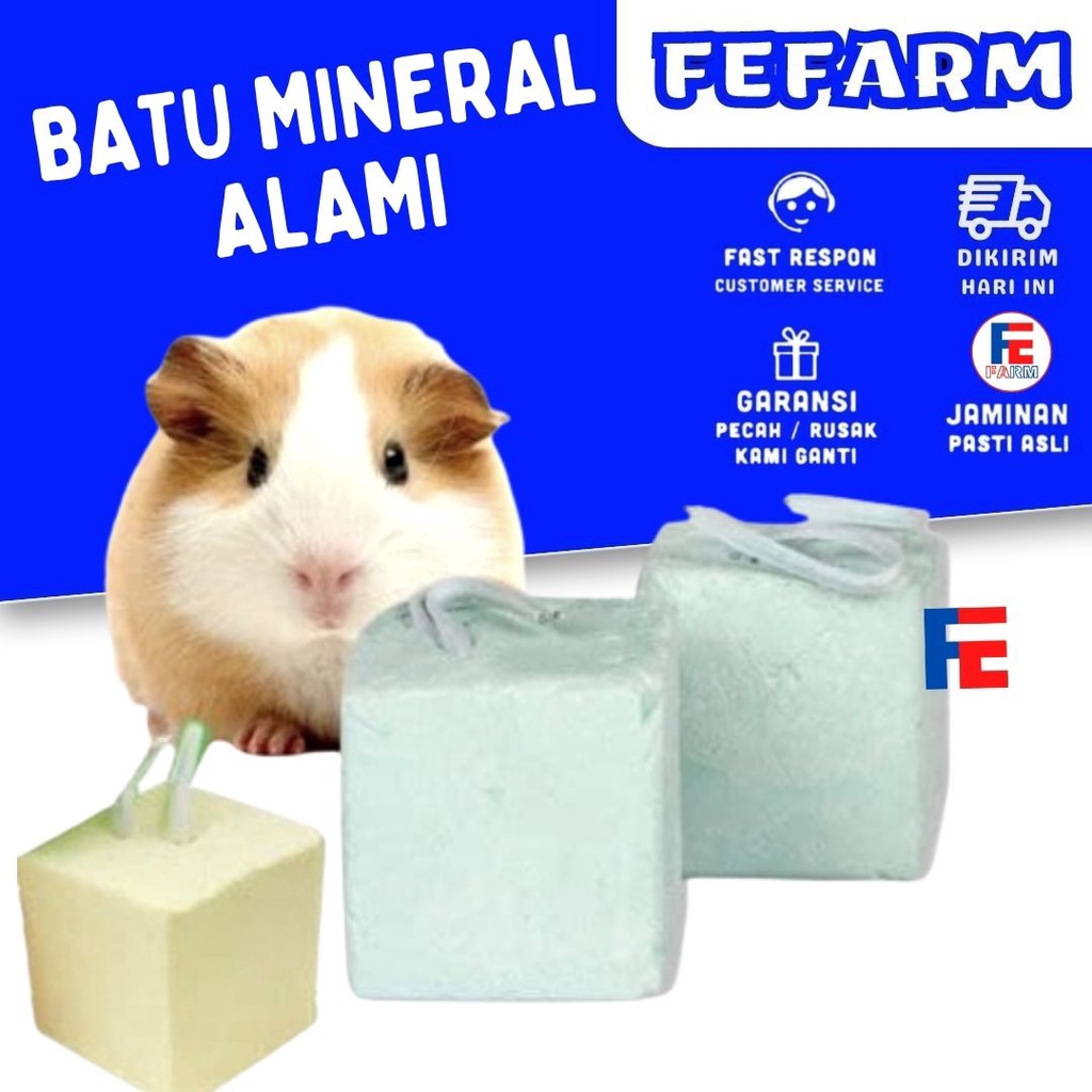 Gnawing Stone Hamster Batu Mineral Gigitan Hamster Sugar Glider Kelinci ...