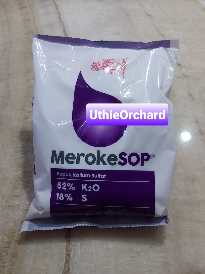 Meroke SOP (MerokeSOP) Pupuk Kalium Sulfat 1 kg (Hydroponic Grade ...