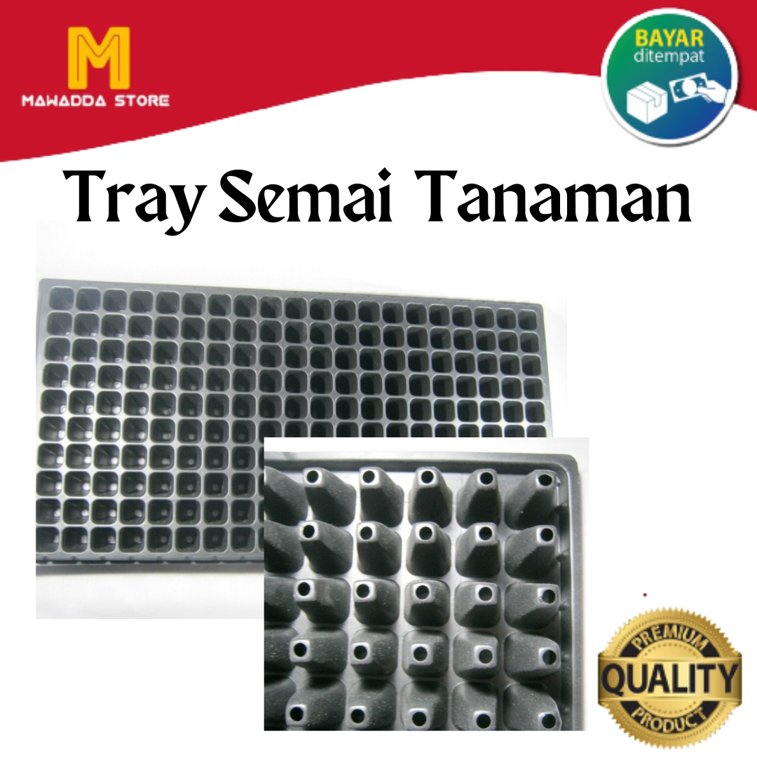 Tray Semai Untuk Bibit Benih Tanaman (Kotak Kecil-Kecil) | Lazada Indonesia