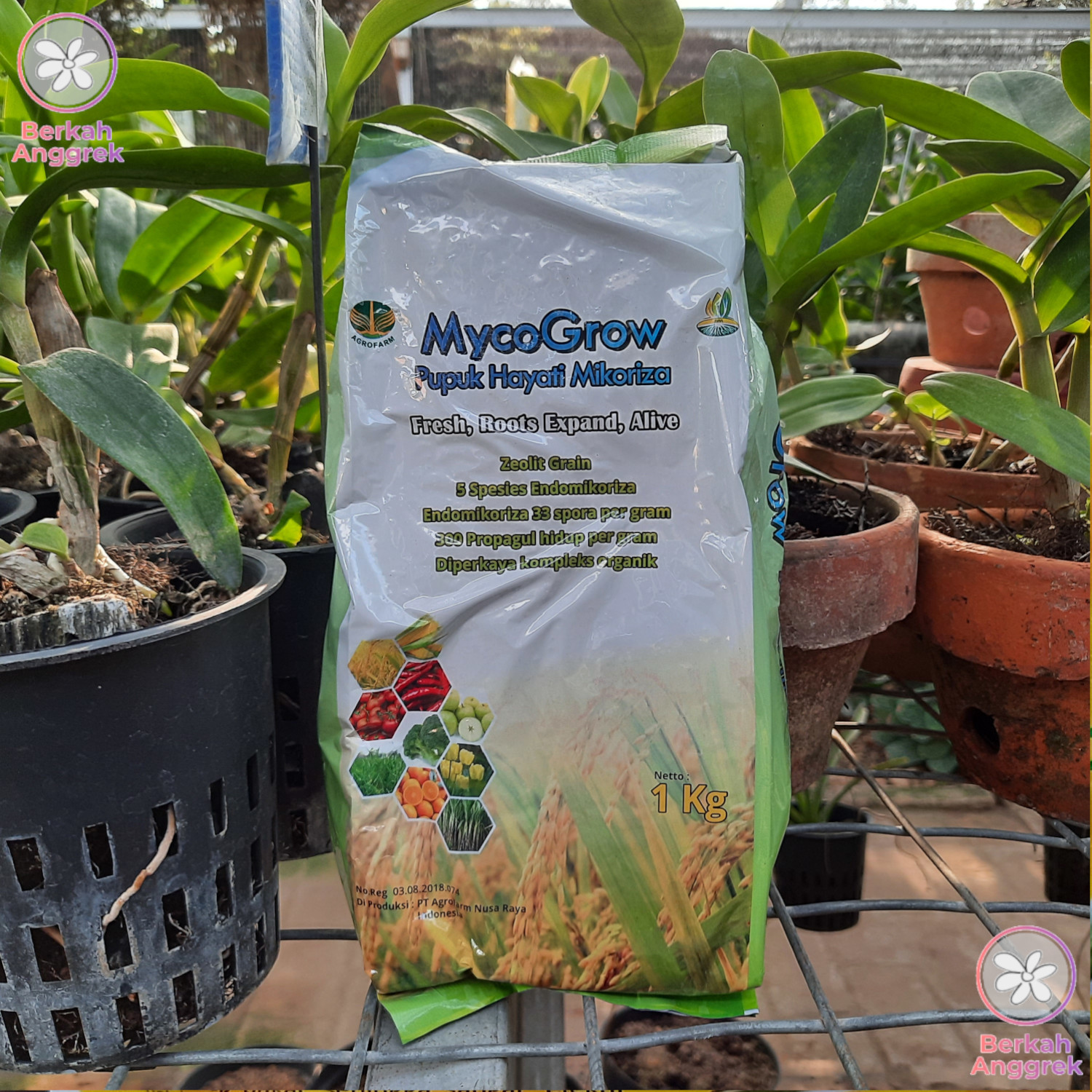 Mycogrow 1 Kg Micogrow 1 Kg Pupuk Akar Hayati Endomikoriza | Lazada ...