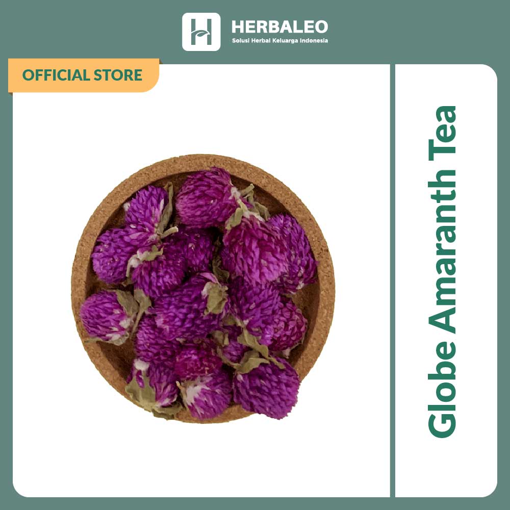 Globe Amaranth Tea / Teh Bunga Kancing | Lazada Indonesia
