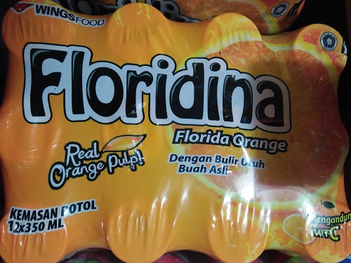 Floridina Orange 350ml x 12pcs | Lazada Indonesia