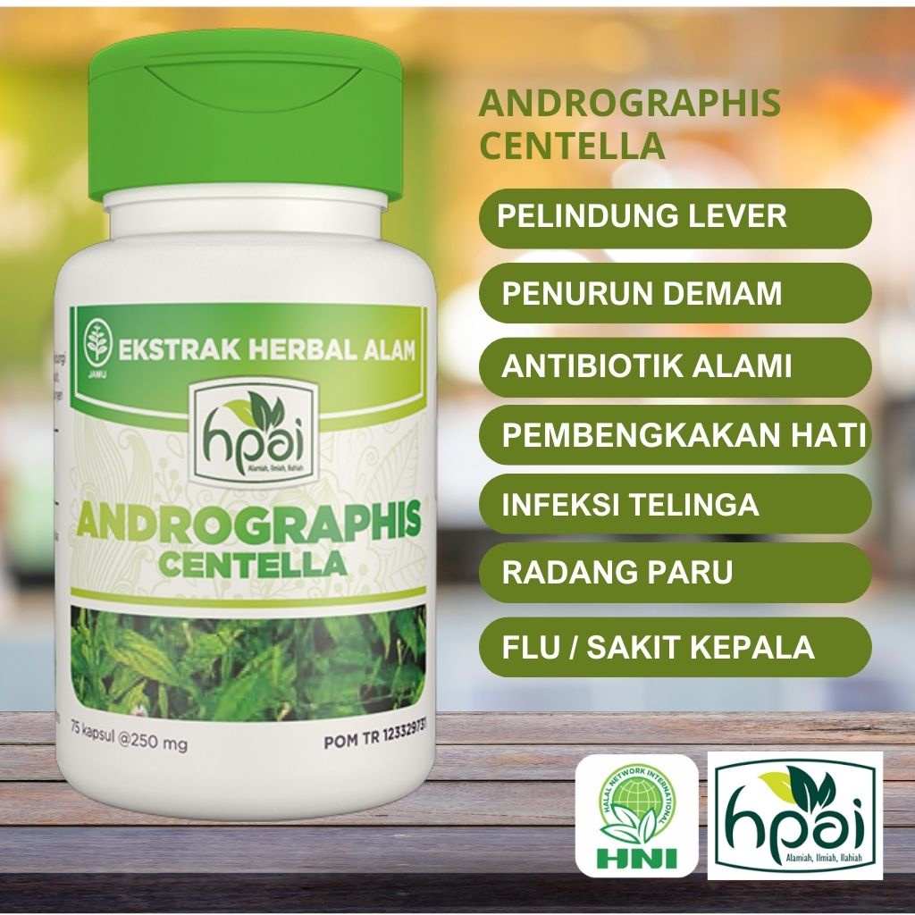 Andrographis Centella HNI | Lazada Indonesia