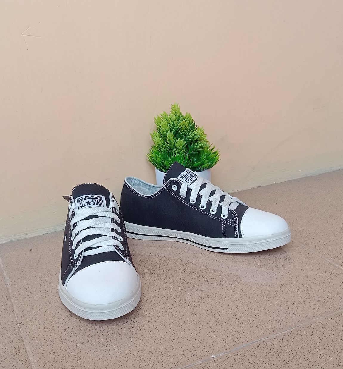 sepatu star low / sepatu star pendek / sepatu star pria / sepatu star ...