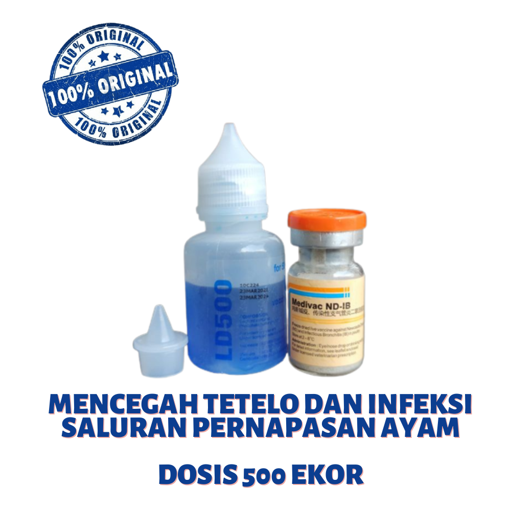 Vaksin Medivac ND - IB 500 dosis - mencegah tetelo dan infeksi saluran pernapasan ayam | Lazada ...
