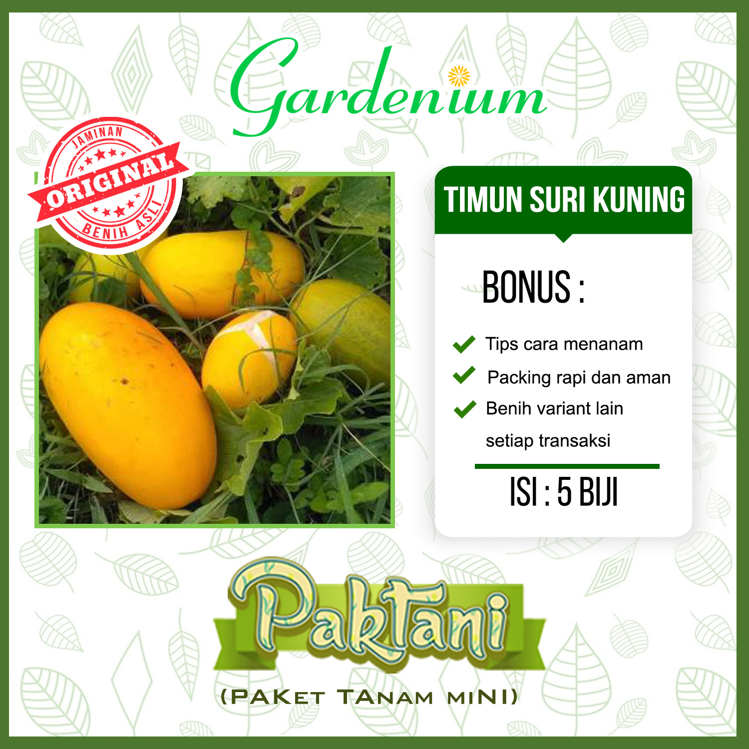 5 Biji Timun Suri Kuning Unggul Paktani | Lazada Indonesia