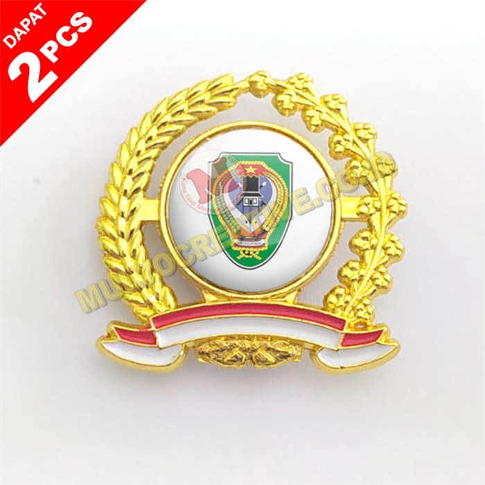 Pin Logo Kabupaten Seruyan Lencana Pin Bros Seruyan Lencana Wing Bros ...