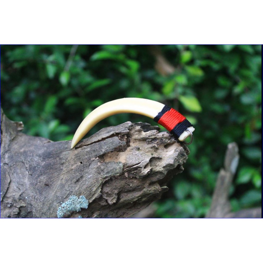 Taring Babi 12cm Kalung Etnik | Lazada Indonesia