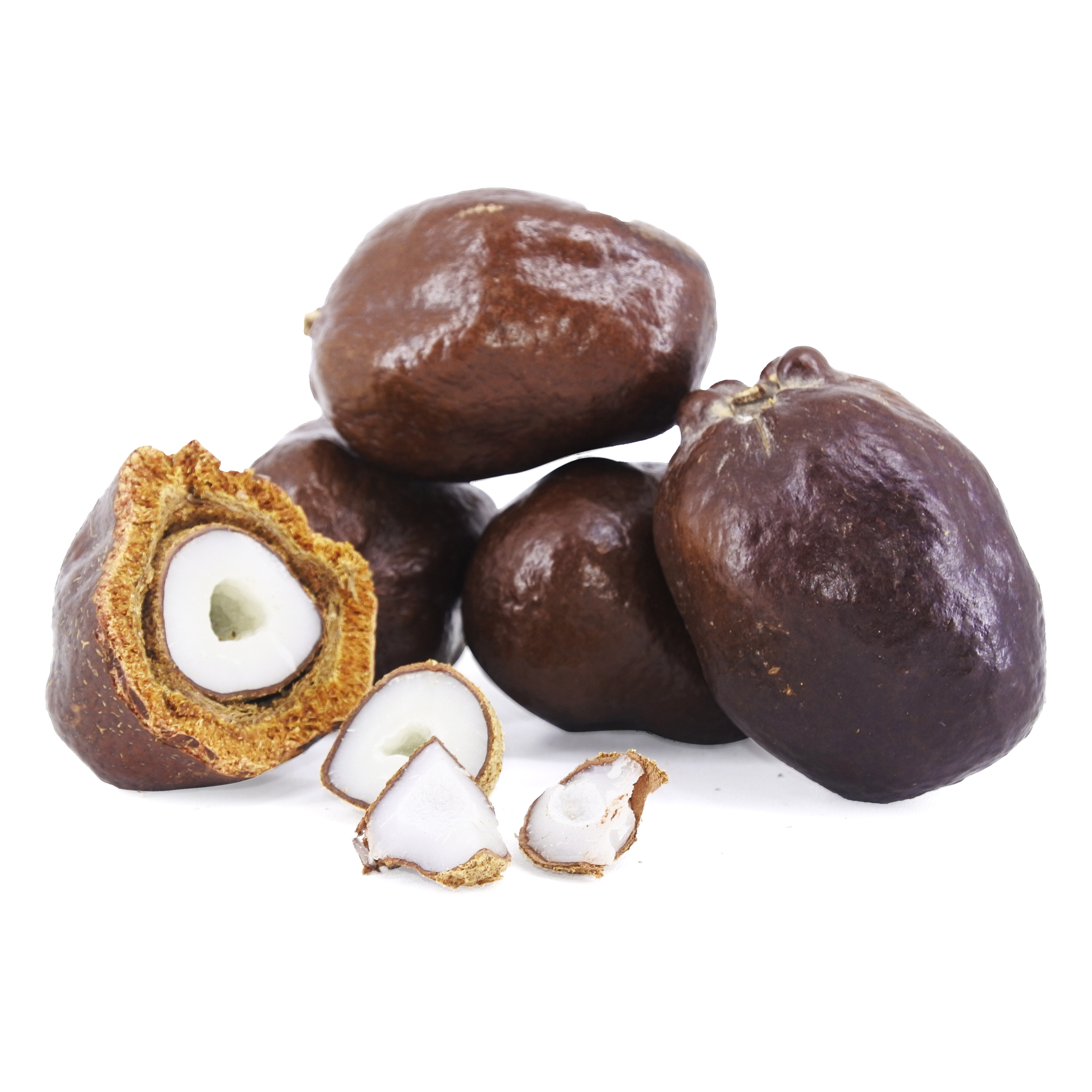 1 Kg Buah Zuriat Madinah | Buah Adam Hawa / Doum Free Testpack - Promil ...
