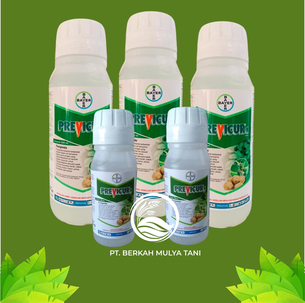 Fungisida Previcur n 722 SL Sistemik 500 ml / 100ml Asli Bayer | Lazada ...
