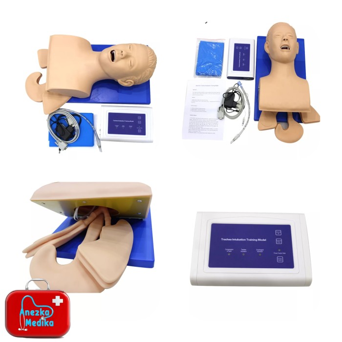 TRAINER INTUBASI AIRWAY / PHANTOM MANIKIN INTUBASI AIRWAY | Lazada ...