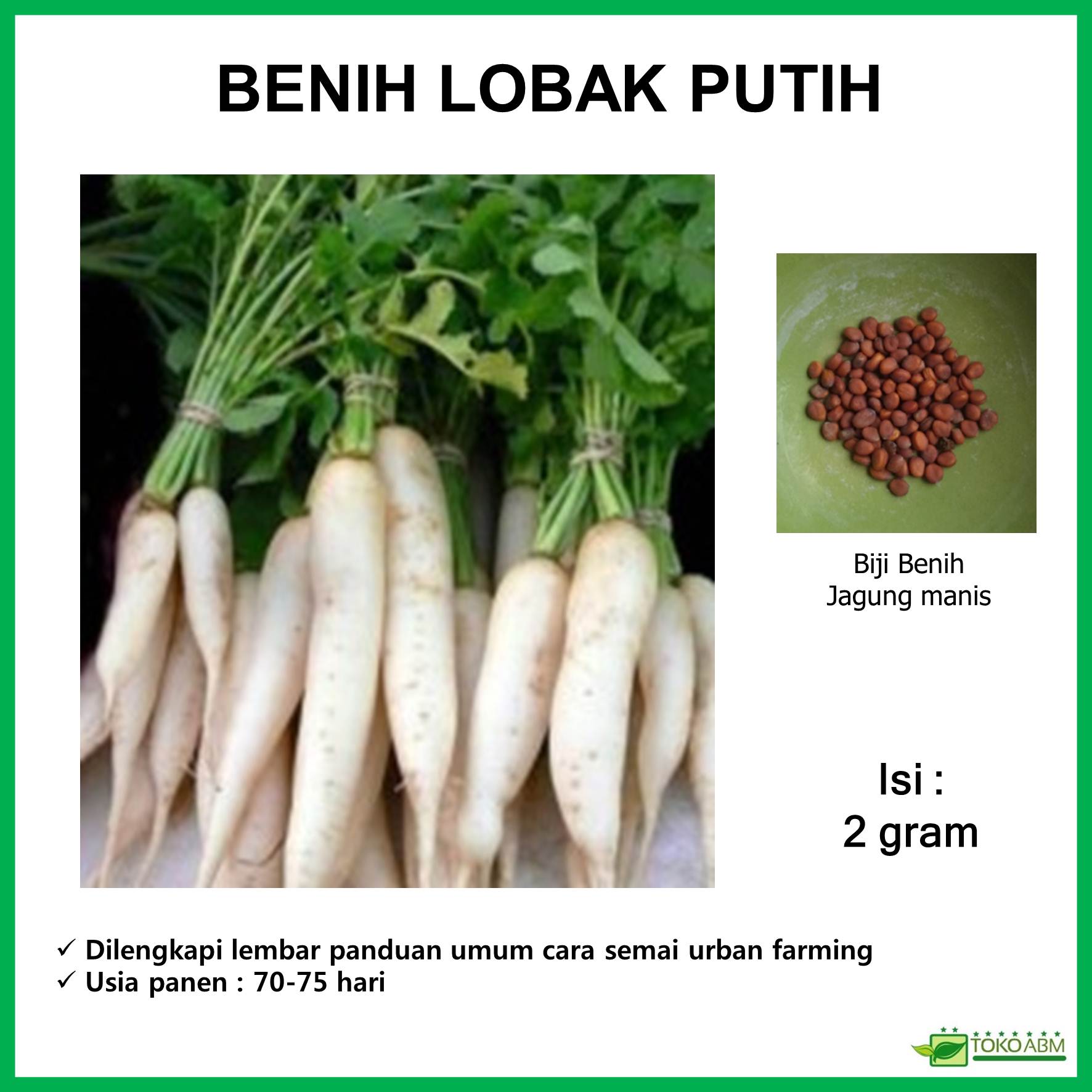 Benih Lobak Putih White Radish Kemasan Repack - Bibit Sayuran Urban ...