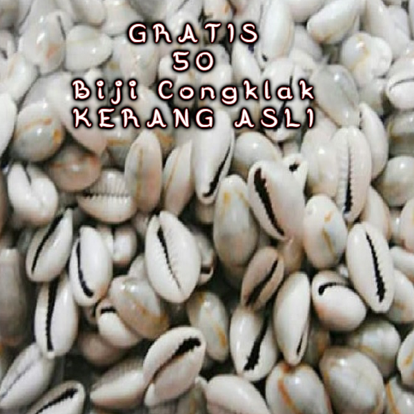 Congklak Kayu Lipat Lukis Free 50 Pcs Biji Kerang / Congklak Dakon ...