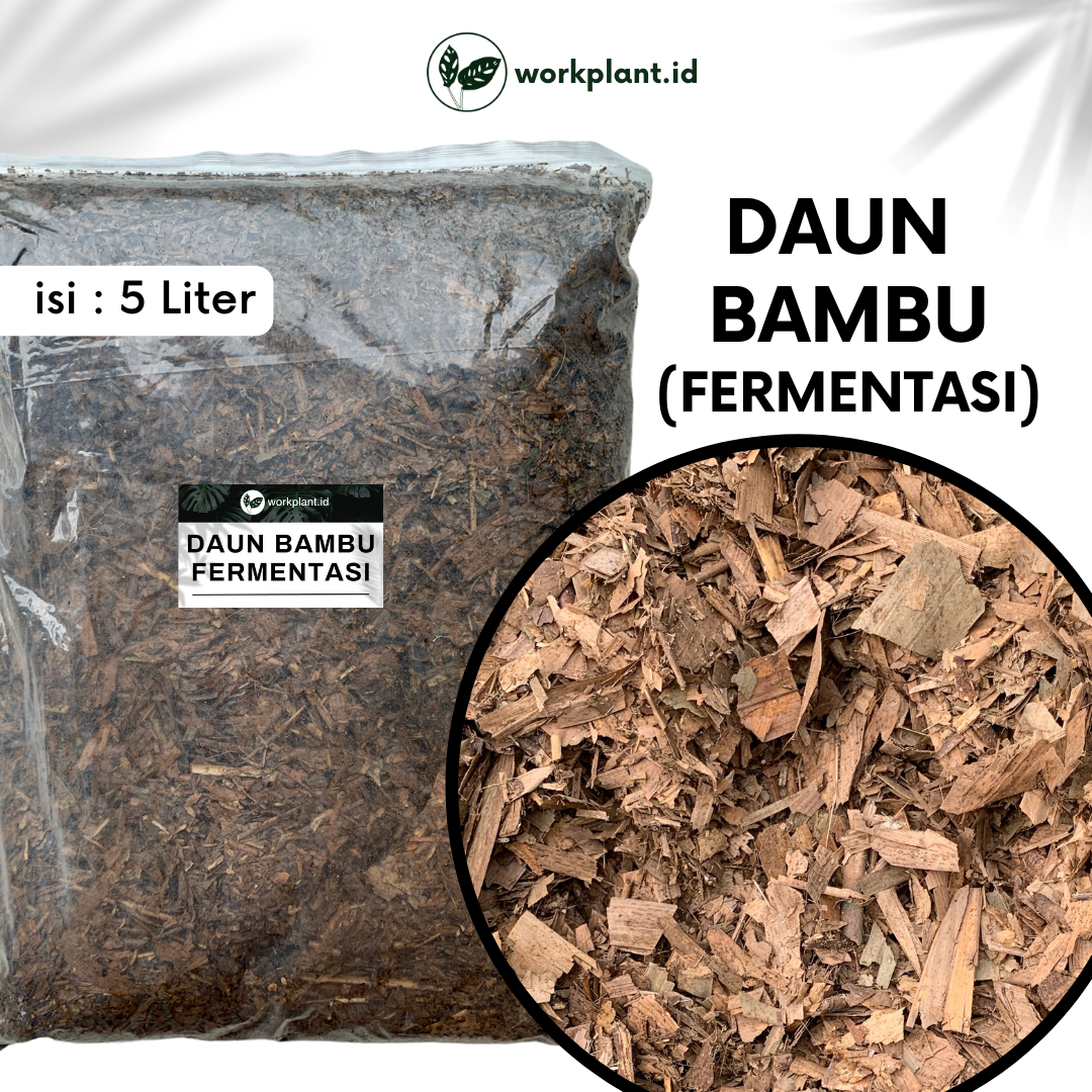 Daun Bambu Fermentasi - Media Tanam Humus Daun & Batang Bambu untuk ...