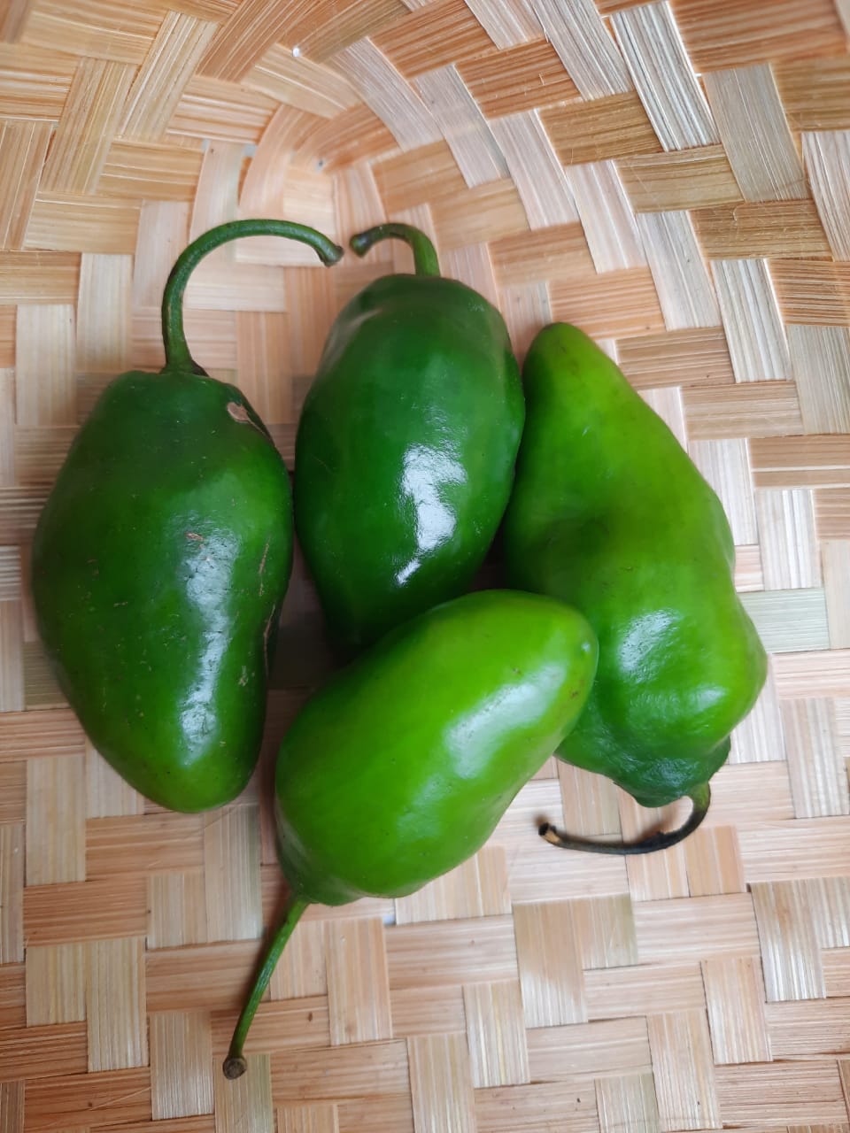 cabe gendot cabe kompor segar 1kg murah | Lazada Indonesia