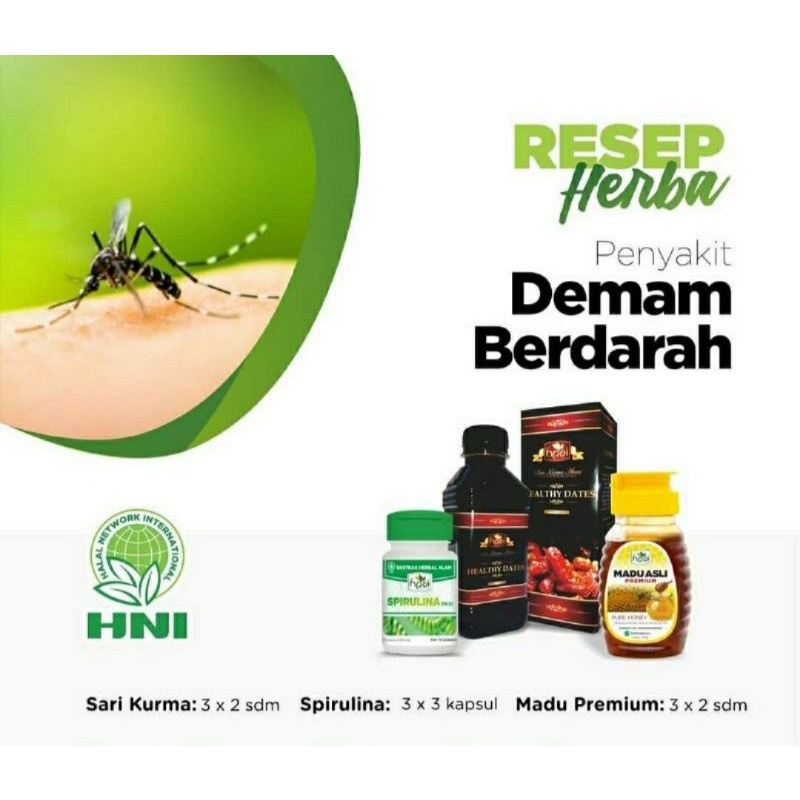 Resep Herbal Demam Berdarah - Obat Herbal HNI HPAI Halal Penyakit DBD ...