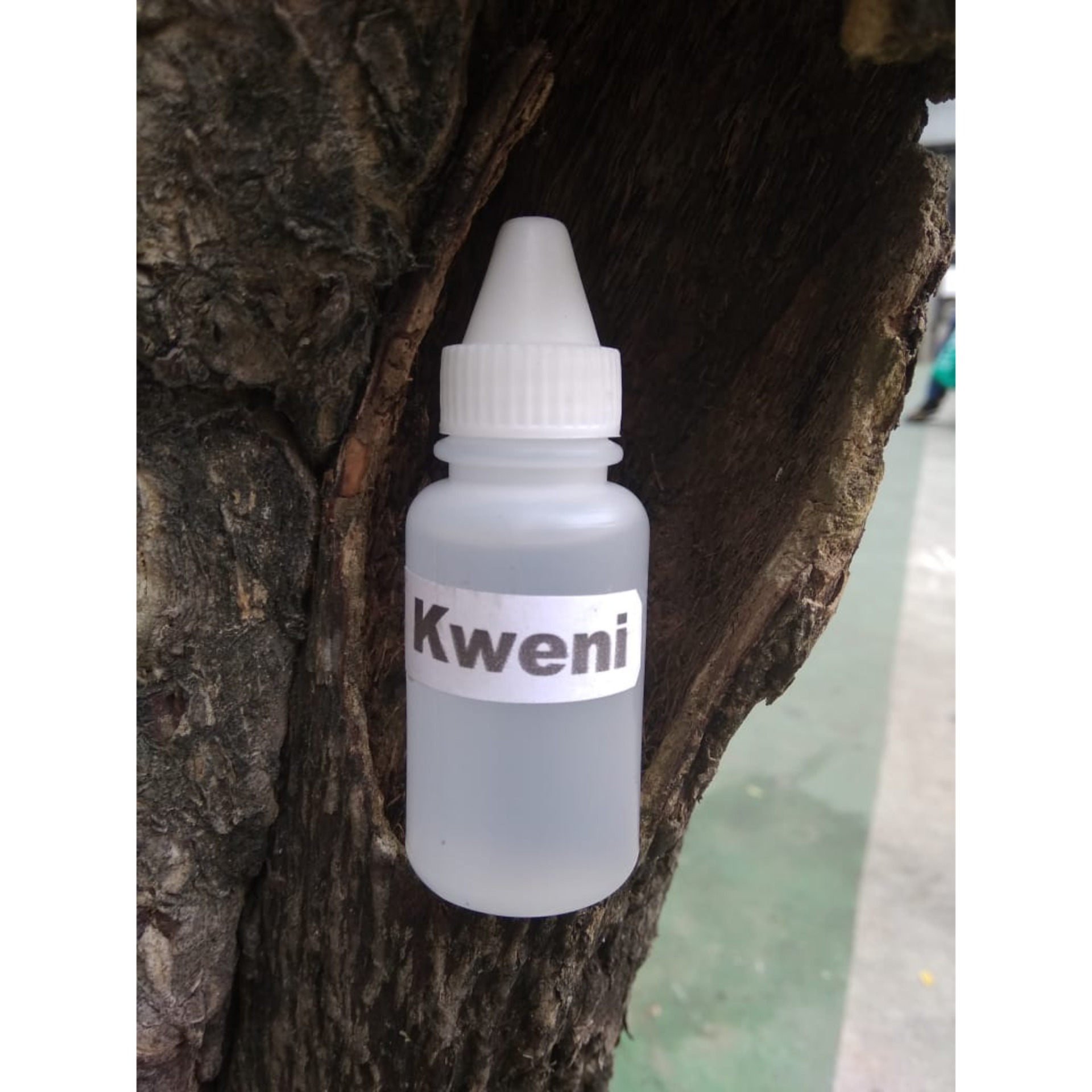 Essen/esen mangga kweni Pancing | Lazada Indonesia