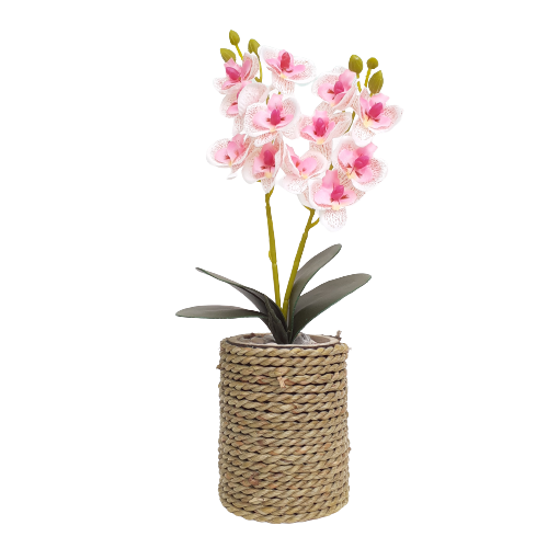 Bunga Anggrek Bulan dengan Vas Bambu lilit tali Rami untuk Hiasan Meja ...
