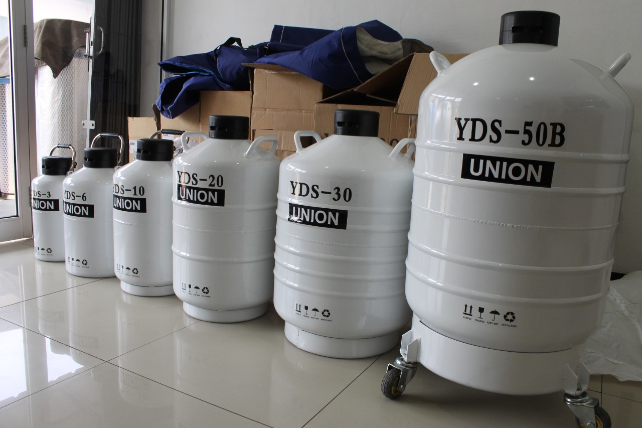 MENYEWAKAN Tabung Nitrogen Cair | Lazada Indonesia