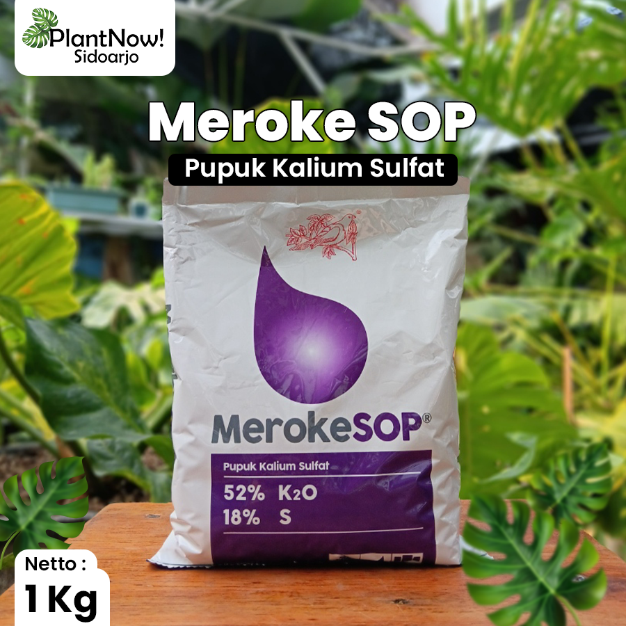 Pupuk Meroke SOP Kemasan 1 kg | Lazada Indonesia