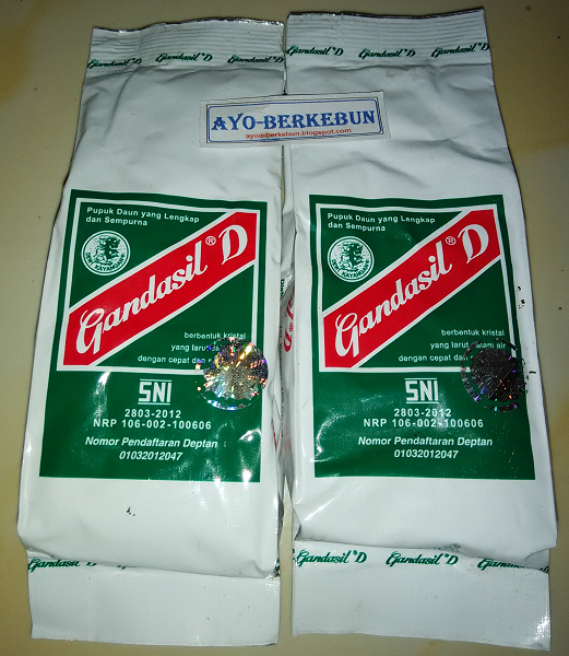 pupuk gandasil Daun 100 gram / Pupuk gandasil D 100 gram / pupuk daun ... pupuk gandasil Daun 100 gram / Pupuk gandasil D 100 gram / pupuk daun ...