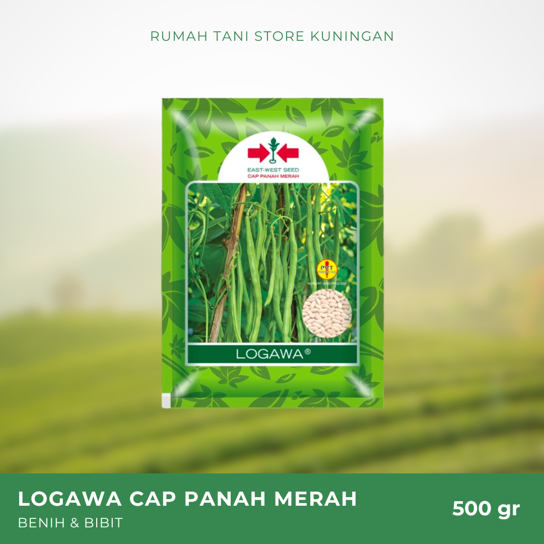 Benih Buncis Logawa Cap Panah Merah - 500gr | Lazada Indonesia