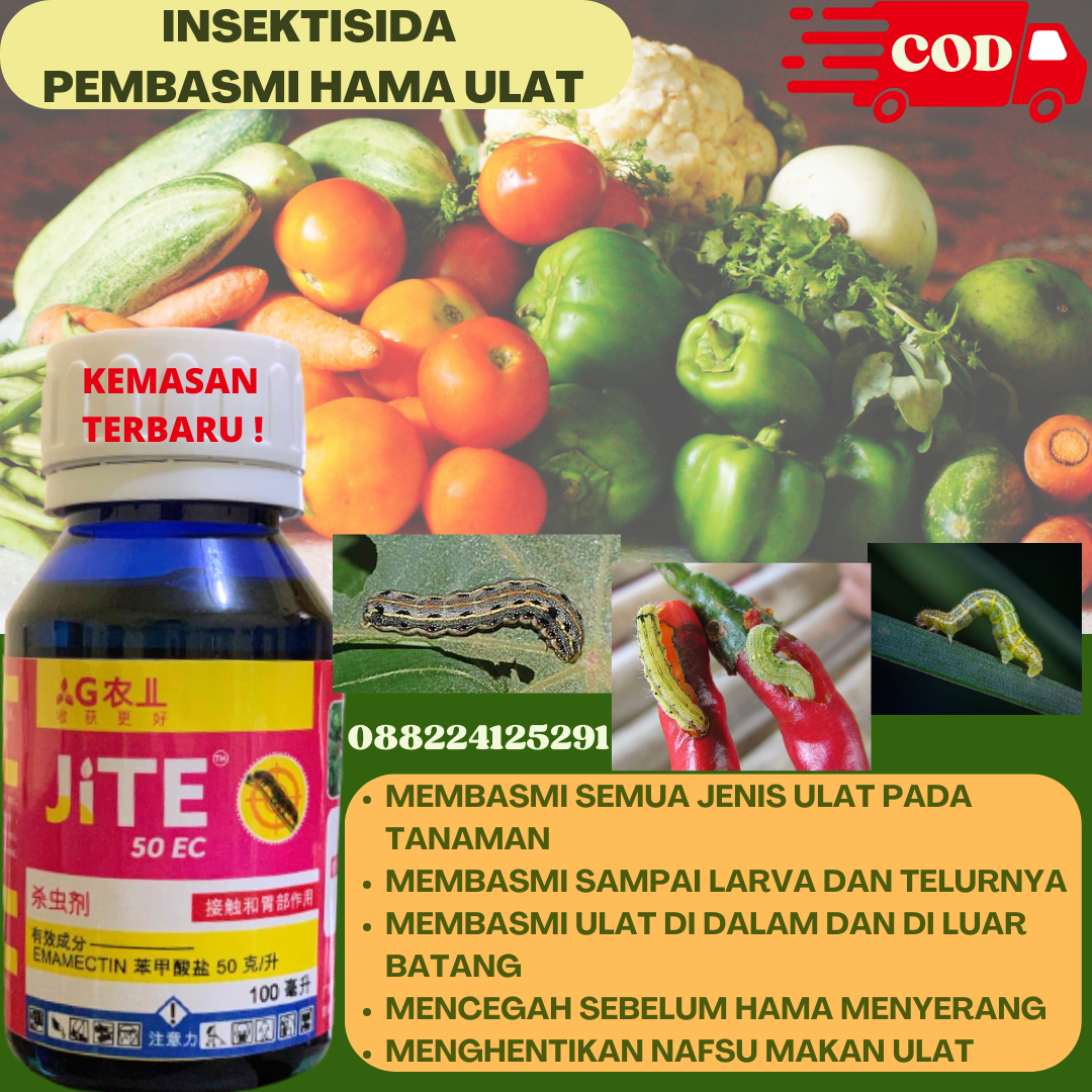 Insektisida Spesialis Pembasmi Hama Obat Ulat Dalam Buah Jite 100ml ...
