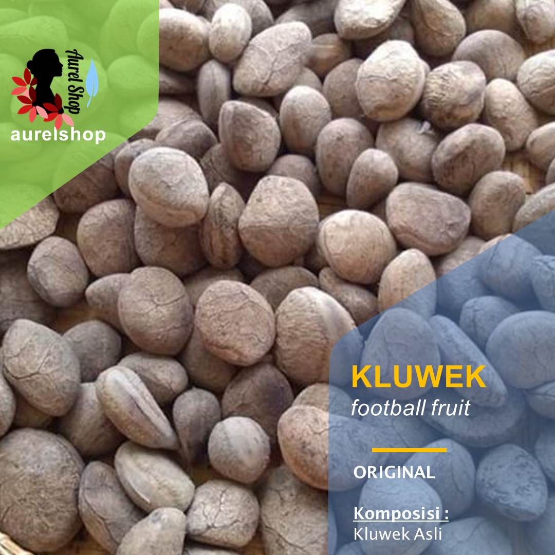 Biji Kluwek Kering 1 kg | Lazada Indonesia