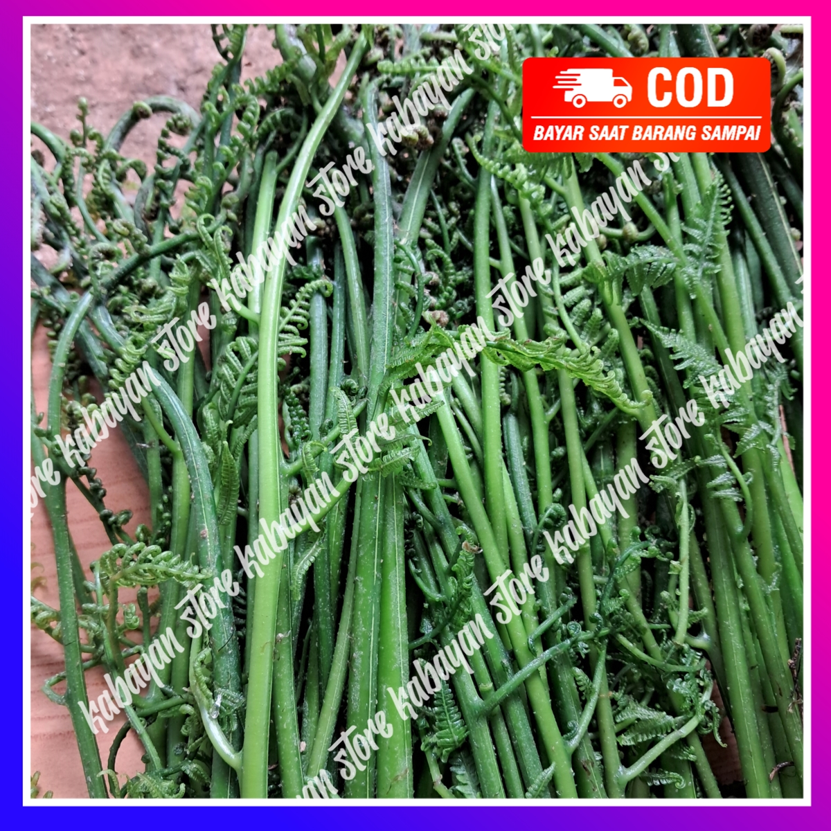 Pakis Sayur Segar 1kg Daun Pakis Sayur | Lazada Indonesia