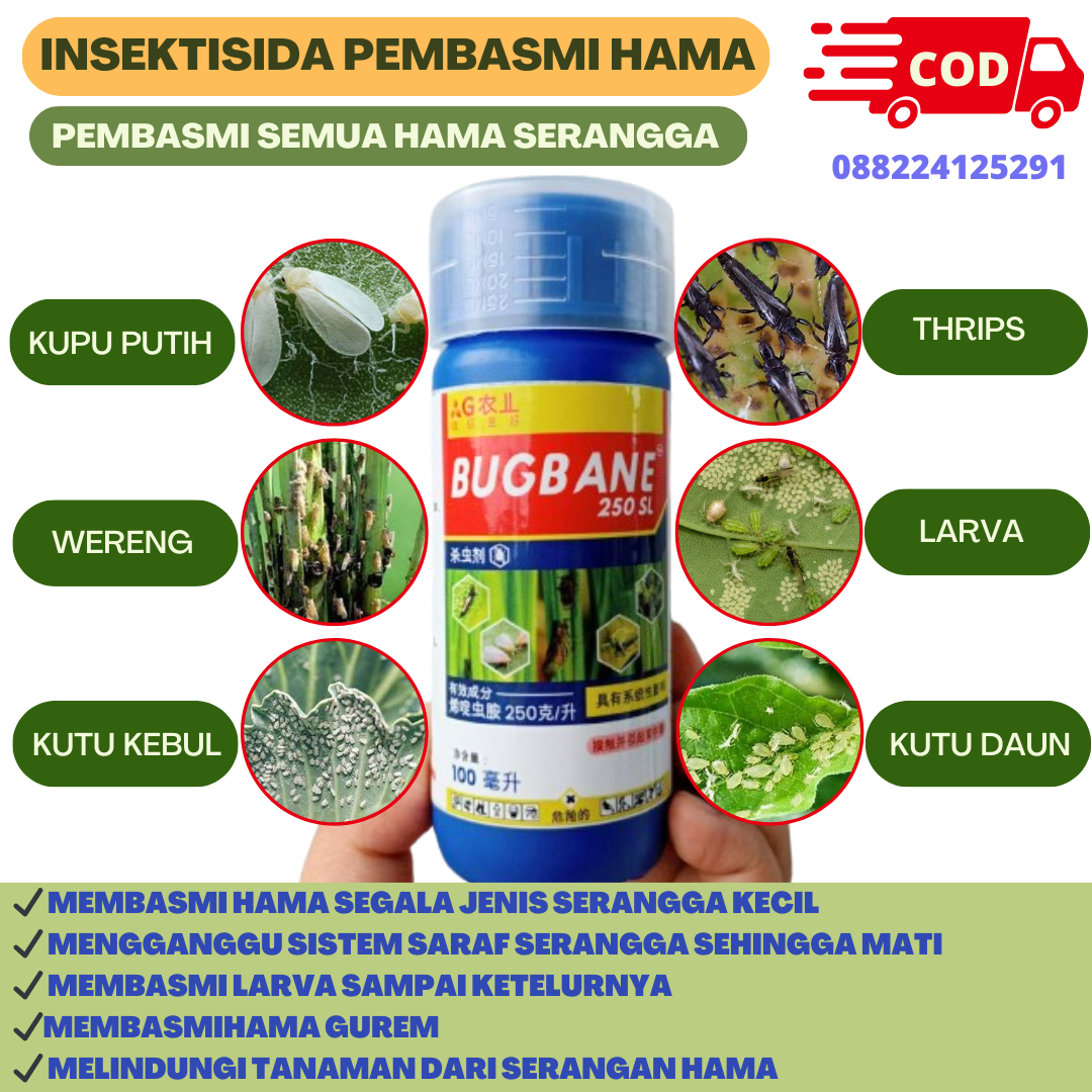 Insektisida Sistemik Selektif Bugbane 100ML Pembasmi Hama Wereng Kutu ...