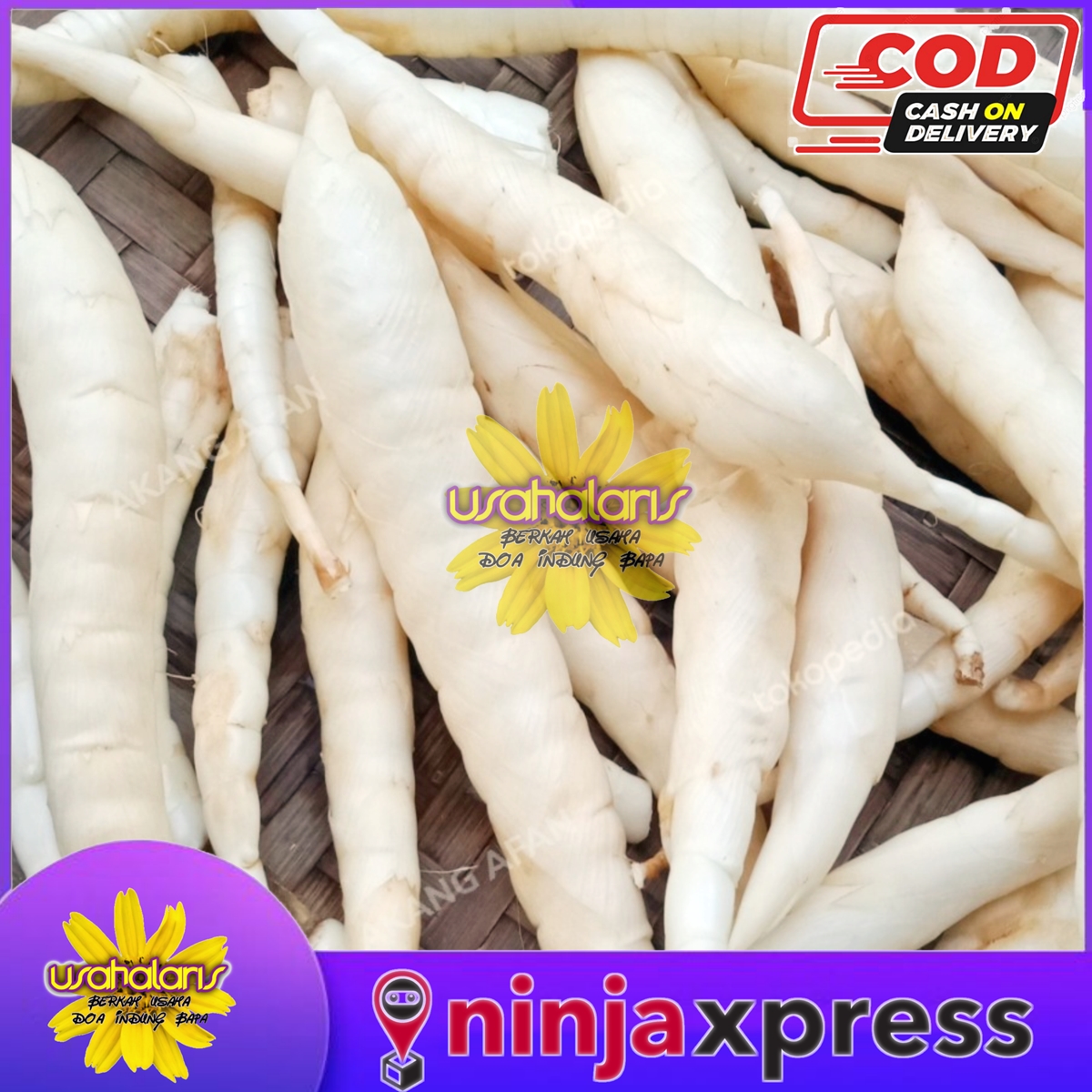Umbi garut obat lambung Umbi garut asli Umbi garut 1 kg Umbi garut ...