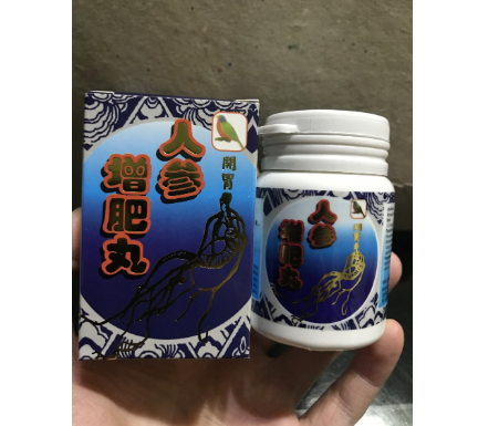 Ren-Sheng-Zhen-Fei-Wan Ginseng Biru Penambah Nafsu Makan | Lazada Indonesia